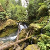 Santiam Wagon Road to House Rock, Oregon - 491 Reviews, Map | AllTrails