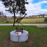Campaspe River Walk, Victoria, Australia - 325 Reviews, Map | AllTrails