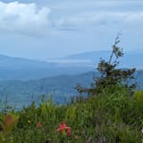 Hebo Lake to South Lake via Pioneer Indian Trail, Oregon - 132 Reviews ...