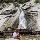 Lisa Falls Trail, Utah - 1,524 Reviews, Map | AllTrails
