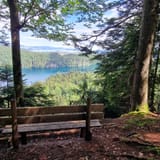 Alpsee Loop, Bavaria, Germany - 290 Reviews, Map | AllTrails