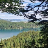Alpsee Loop, Bavaria, Germany - 290 Reviews, Map | AllTrails