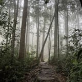 Mount Angsi, Negeri Sembilan, Malaysia - 979 Reviews, Map | AllTrails
