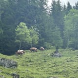 Barnes Camp Loop, Vermont - 456 Reviews, Map | AllTrails