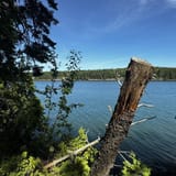 Devil’s Back Trail, Maine - 359 Reviews, Map | AllTrails
