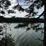 Devil’s Back Trail, Maine - 359 Reviews, Map | AllTrails