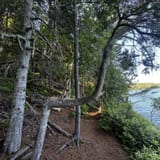 Devil’s Back Trail, Maine - 359 Reviews, Map | AllTrails