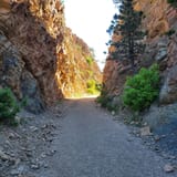Fowler Trail, Colorado - 2,446 Reviews, Map | AllTrails