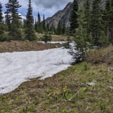 Mount Haig Lake Trail, Alberta, Canada - 403 Reviews, Map | AllTrails