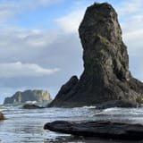 Rialto Beach Trail, Washington - 349 Reviews, Map | AllTrails
