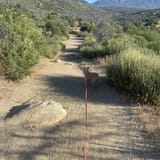 Hurkey Creek Trail, California - 444 Reviews, Map | AllTrails