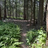 Shaupeneak Ridge Trail, New York - 432 Reviews, Map | AllTrails