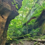 Panther Den Loop, Illinois - 1,072 Reviews, Map | AllTrails