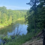 The Manistee River Loop Trail, Michigan - 1,971 Reviews, Map | AllTrails