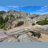 Mount Chocorua Loop Trail, New Hampshire - 1,260 Reviews, Map | AllTrails