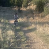 Picketwire Canyon Trail, Colorado - 286 Reviews, Map | AllTrails