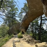 Sky Bridge Trail, Kentucky - 2,553 Reviews, Map | AllTrails
