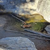 Aspen Draw, Aspen and Marshall Gulch Trail, Arizona - 125 Reviews, Map ...