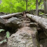 Toketee Falls, Oregon - 2,254 Reviews, Map | AllTrails