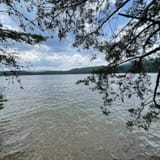 Lake Blue Ridge Loop , Georgia - 900 Reviews, Map | AllTrails
