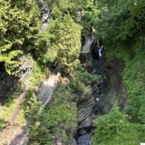 Abraham Lincoln Park White Trail, New York - 1,634 Reviews, Map | AllTrails