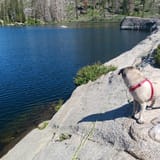 Lake Margaret Trail, California - 1,061 Reviews, Map | AllTrails