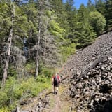 Wyeth to Gorge Trail, Oregon - 178 Reviews, Map | AllTrails