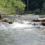 Cartecay River Loop Trail, Georgia - 2,175 Reviews, Map | AllTrails