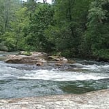 Cartecay River Loop Trail, Georgia - 2,175 Reviews, Map | AllTrails