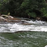 Cartecay River Loop Trail, Georgia - 2,175 Reviews, Map | AllTrails