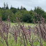 Northern State Recreation Area Loop, Washington - 578 Reviews, Map ...