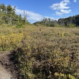 Skerwink Trail, Newfoundland and Labrador, Canada - 1,485 Reviews, Map ...