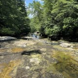 Savage Falls, Tennessee - 819 Reviews, Map | AllTrails