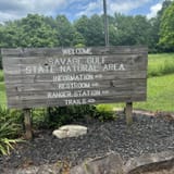 Savage Falls, Tennessee - 819 Reviews, Map | AllTrails