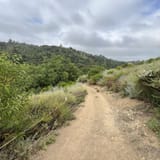 Powder Canyon Loop Trail, California - 2,389 Reviews, Map | AllTrails