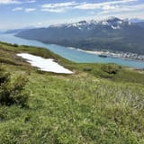 Mount Roberts Trail, Alaska - 456 Reviews, Map | AllTrails