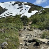 Mount Roberts Trail, Alaska - 456 Reviews, Map | AllTrails