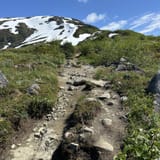 Mount Roberts Trail, Alaska - 456 Reviews, Map | AllTrails