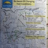 Cat Gap Loop Trail, North Carolina - 746 Reviews, Map | AllTrails