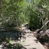 Convict Lake Loop, California - 2,107 Reviews, Map | AllTrails