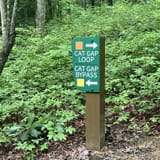 Cat Gap Loop Trail, North Carolina - 746 Reviews, Map | AllTrails