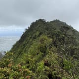 Pauoa Flats via Kalawahine Trail, Oahu, Hawaii - 1,211 Reviews, Map ...