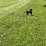 Chase Farm, Rhode Island - 275 Reviews, Map | AllTrails