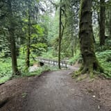 Chuckanut Falls, Washington - 635 Reviews, Map | AllTrails