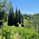 Bogus Basin Loop Trail, Idaho - 252 Reviews, Map | AllTrails