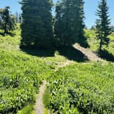 Bogus Basin Loop Trail, Idaho - 252 Reviews, Map | AllTrails