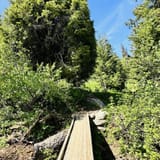 Bogus Basin Loop Trail, Idaho - 252 Reviews, Map | AllTrails