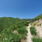 Emigration Canyon Miners Trail, Utah - 883 Reviews, Map | AllTrails