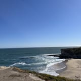 Old Cove Landing Trail, California - 3,876 Reviews, Map | AllTrails