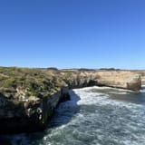Old Cove Landing Trail, California - 3,876 Reviews, Map | AllTrails